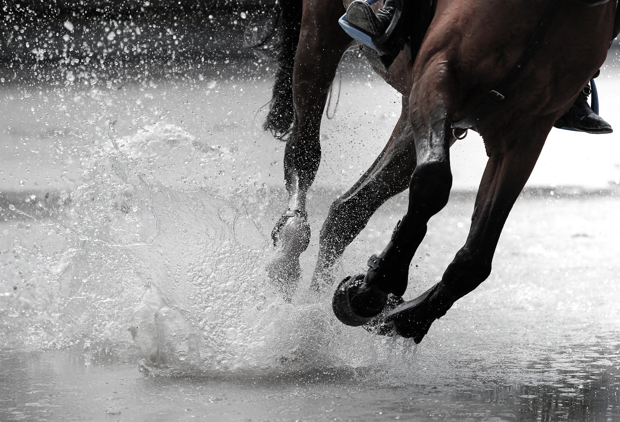 EquiFlow Horse megaHA supplements